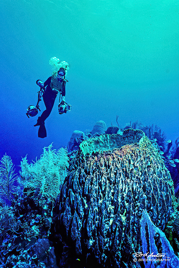 High Dynamic Range Photography by Carl Roessler